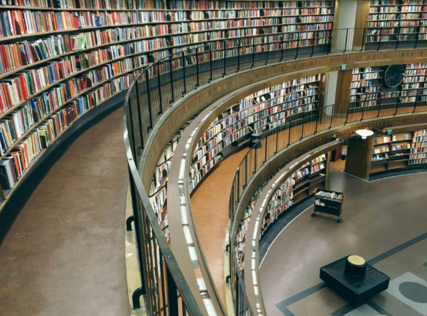 Public sector | Skaylink