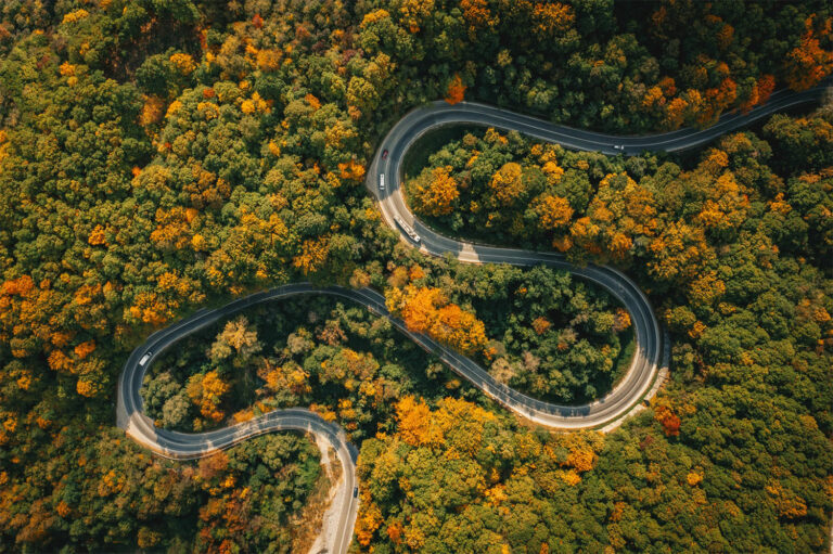 InfoPath is dead… and now? | Skaylink