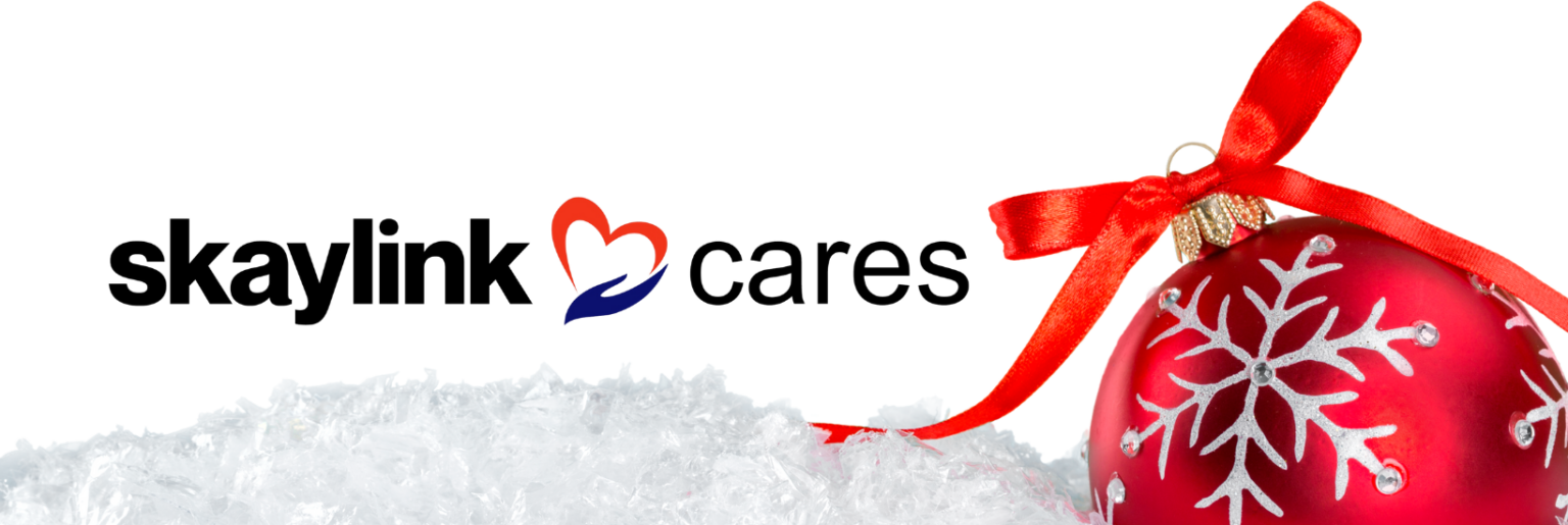 Skaylink Cares 2024 | Skaylink